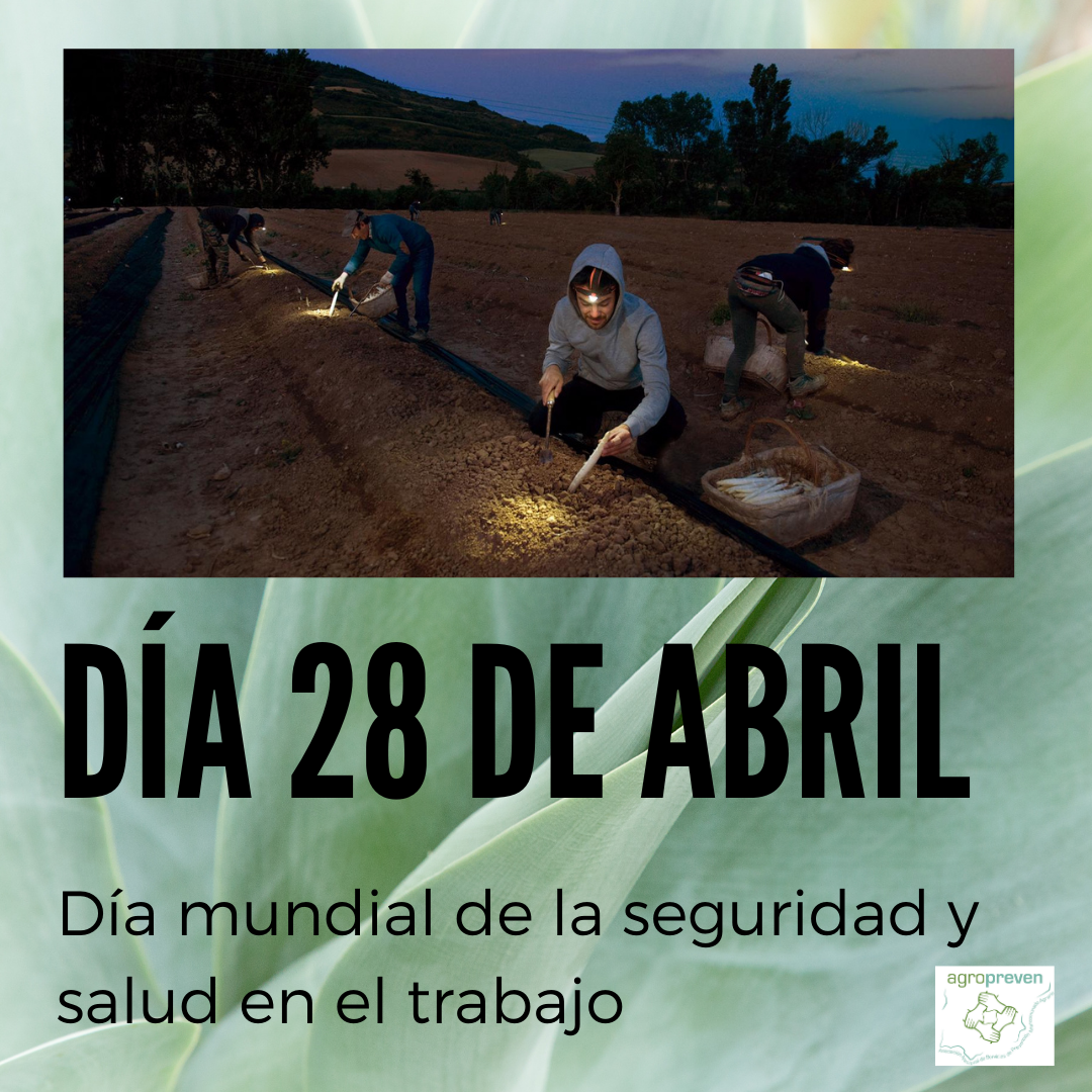 Hoy día 28 de Abril, se celebra el Día Mundial de la Seguridad y Salud ...